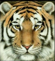 The Lady, or the Tiger?